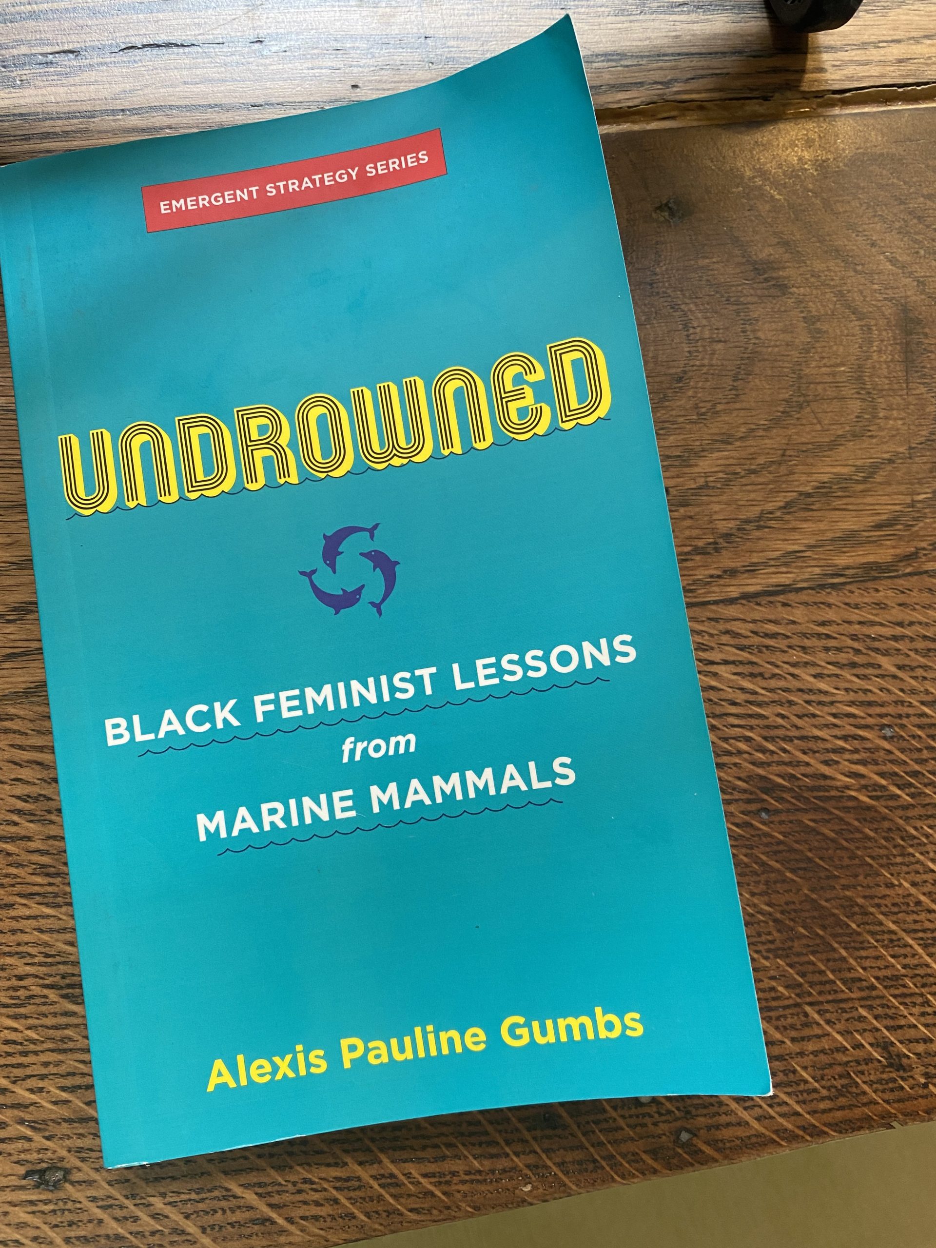 5. Be Vulnerable. – VITAL CAPACITIES